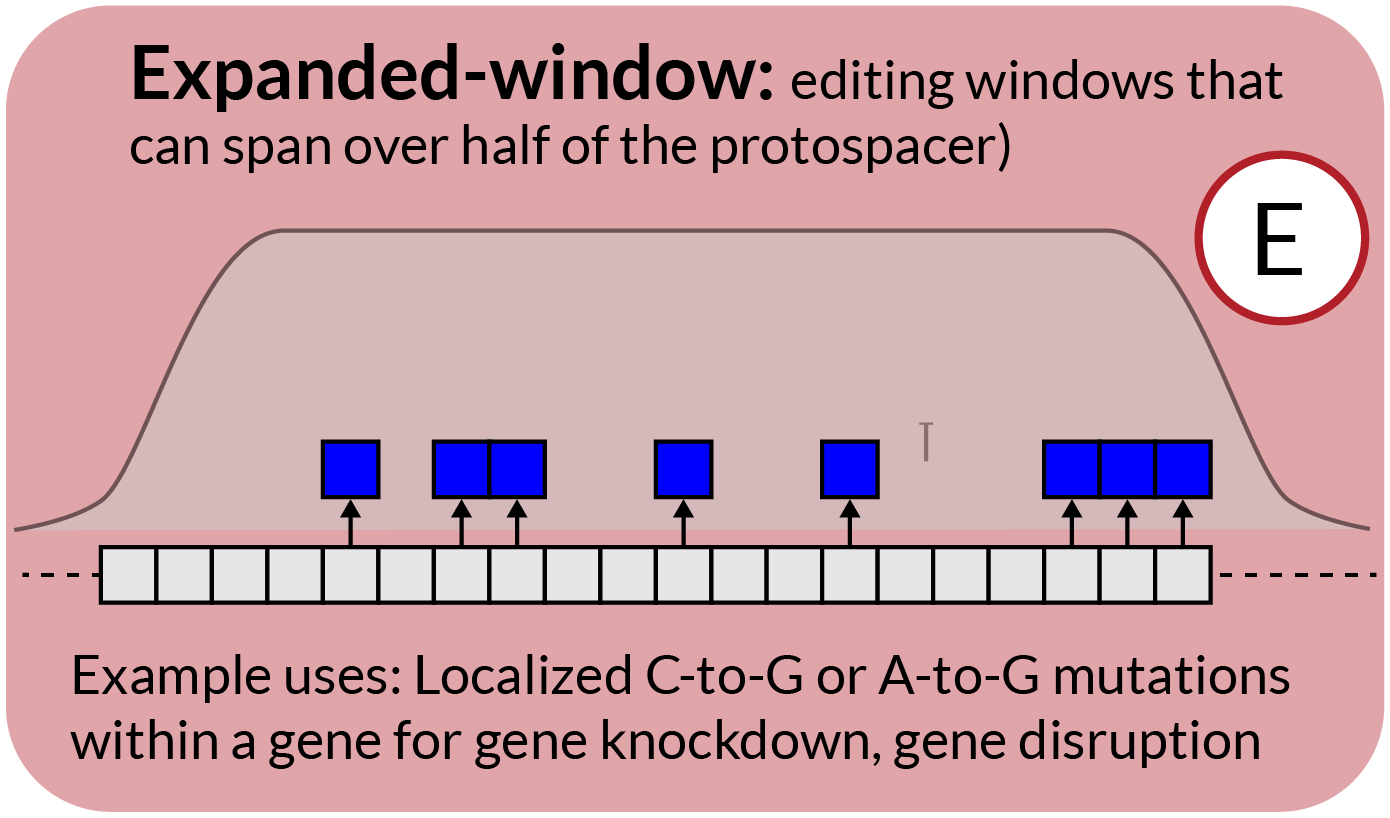 base-editor-minisite
