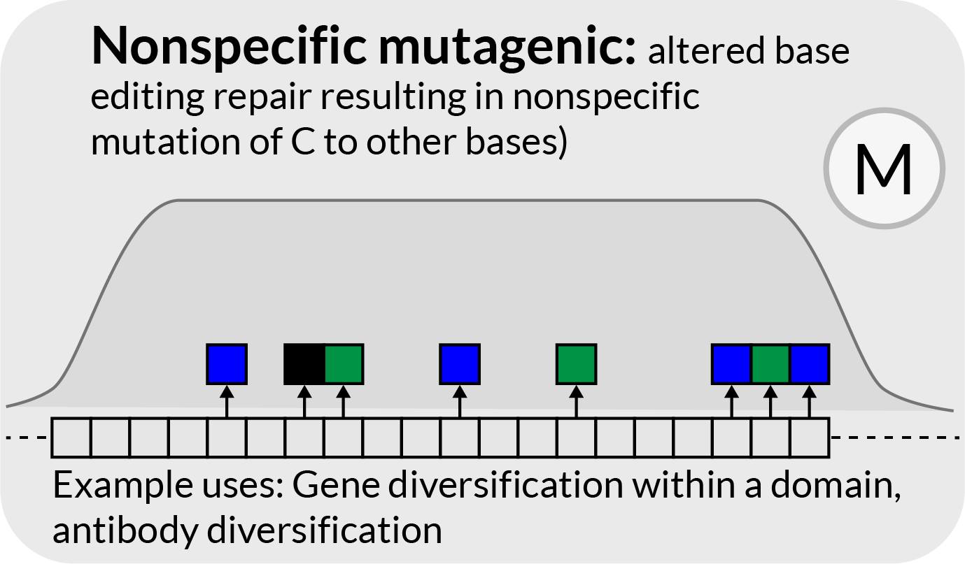 base-editor-minisite